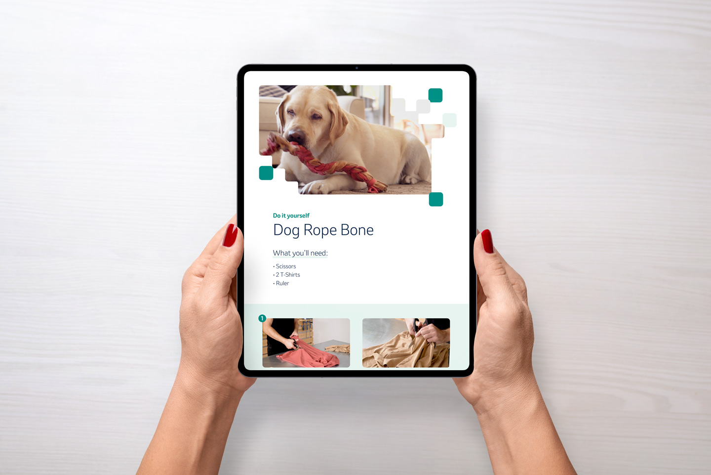 Do it yourself - Dog Bone | eu-mypet-com